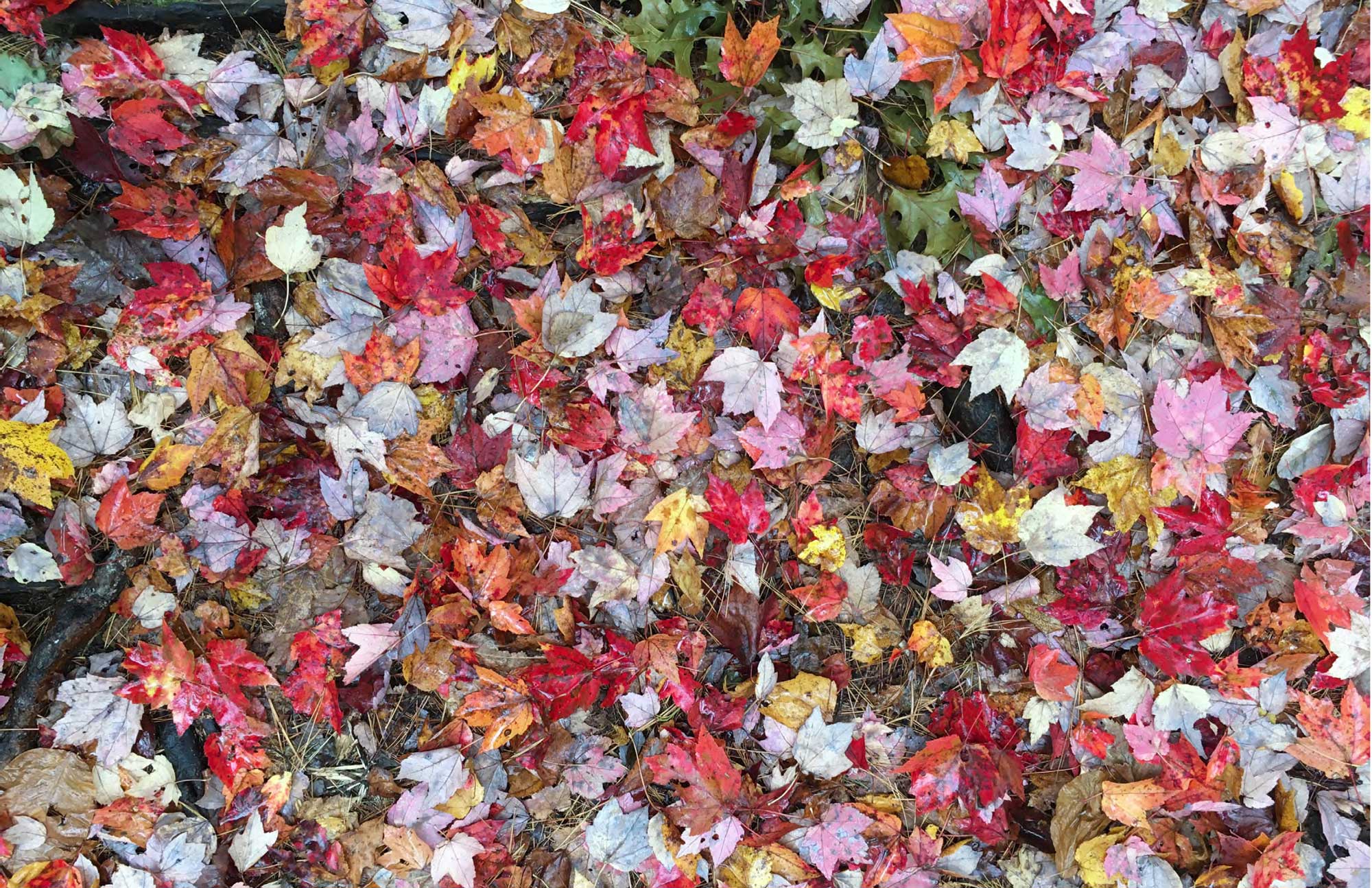 Textures - Peter Kery